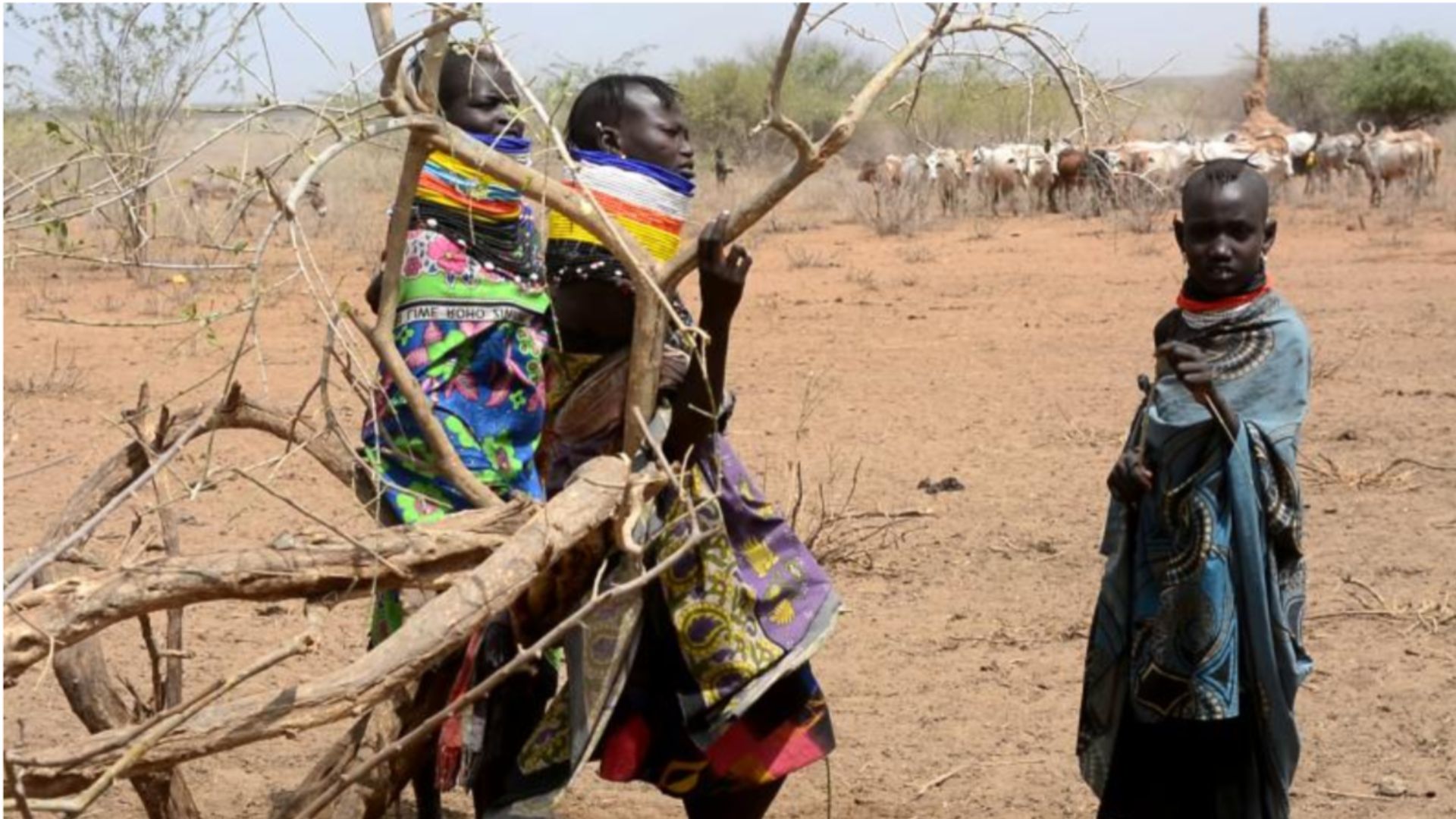 Turkana DNA Survival Harsh Climates Explained - FlashNews
