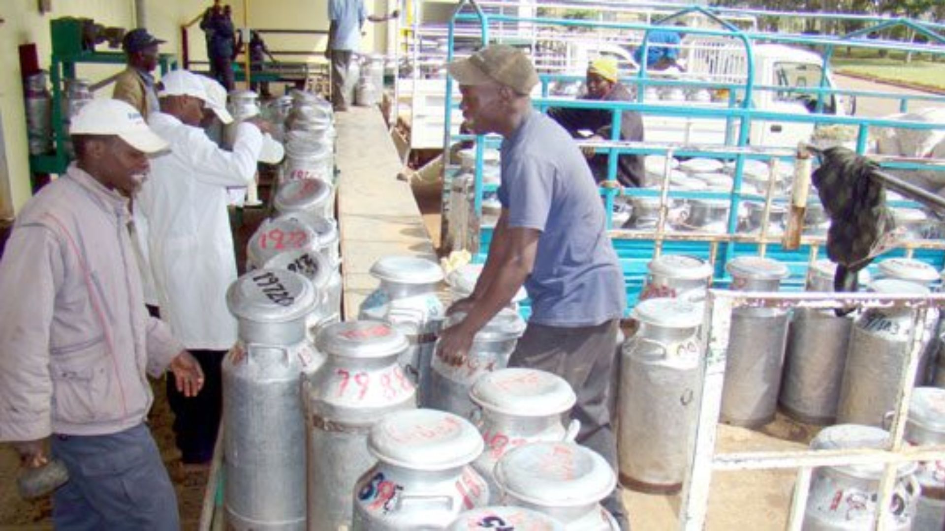 Kenya to Introduce Quality Milk Certification as Export Push ...