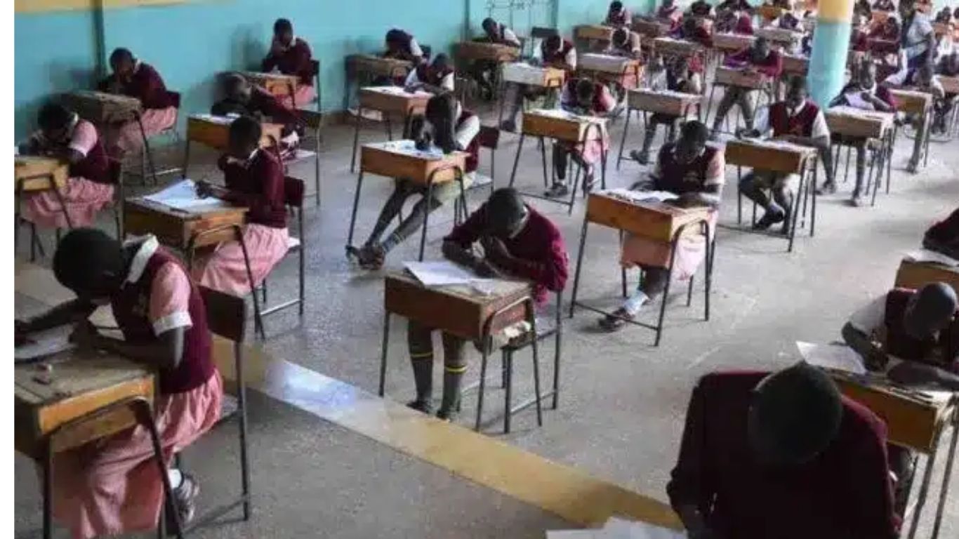 Grade 10 Placement Letters Set to Be Issued Before Christmas, Education ...